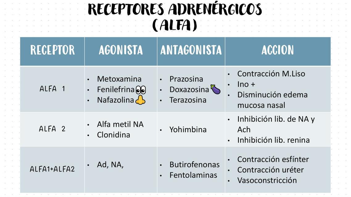 RECEPTORES FARMACOLOGICOS | Lina Palomino | uDocz