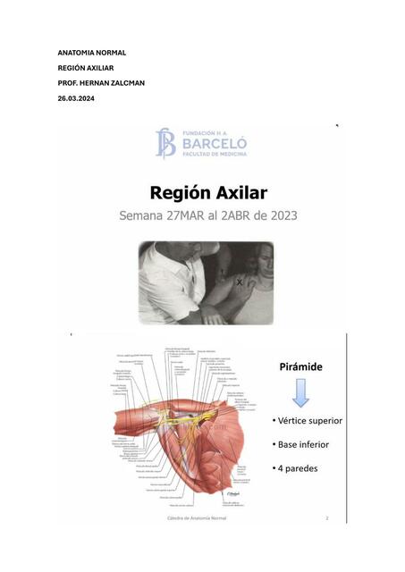 ANATOMIA NORMA1 REGIÓN AXILIAR 26 03 | Kelly | uDocz