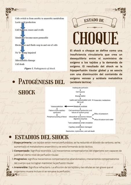 Choque resumen | Manuel | uDocz