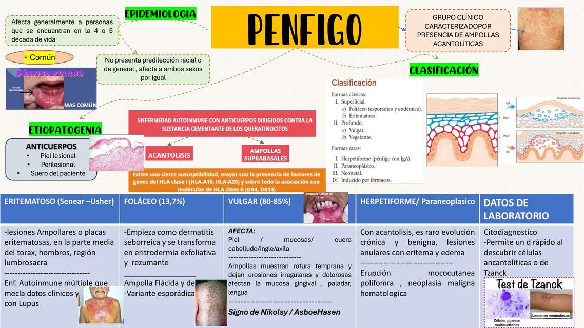MAPA CONCEPTUAL SOBRE PENFIGO E INFECCIONES DE PIEL (BACTERIANAS) | Sol ...