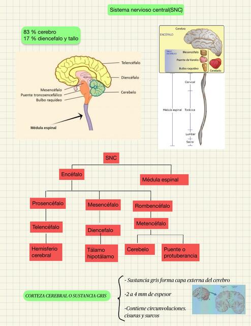 Untitled Draft 3 | Cam | uDocz