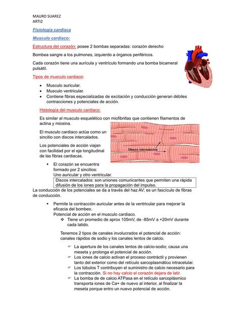 capitulo 9 Musculo cardiaco | Mauro Suarez | uDocz