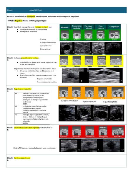 BIRADS | valerie borda fernandez | uDocz