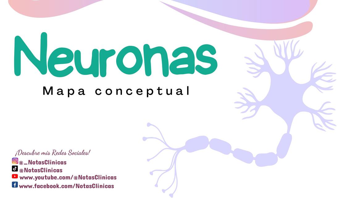 La Neurona | Notas Clínicas | uDocz