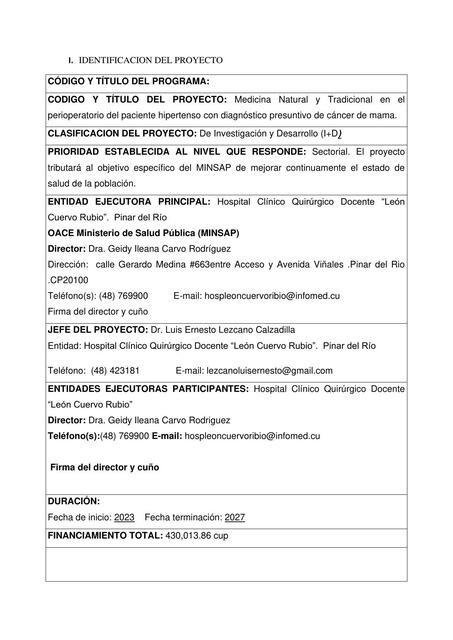 luis project ok ok 3 | Luis Lezcano | uDocz