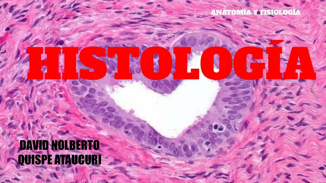 HISTOLOGÍA | | uDocz