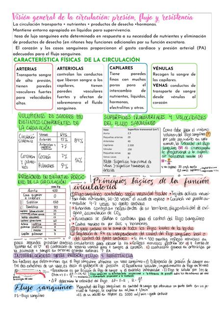 cap 14 de guyton | Jaz | uDocz