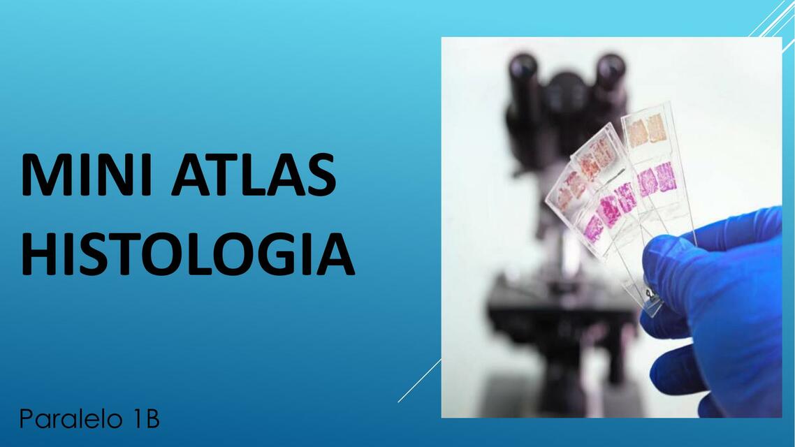 MINI ATLAS HISTOLOGIA | Roly | uDocz