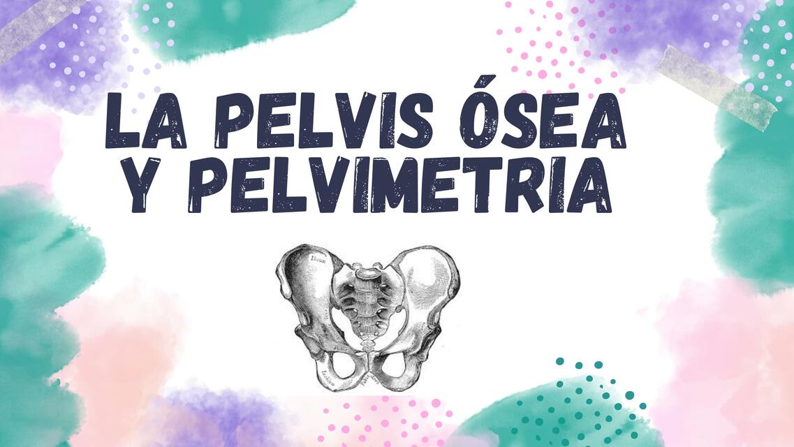 Pelvis Osea Y Pelvimetria Tipos Aida Nursnotes Udocz