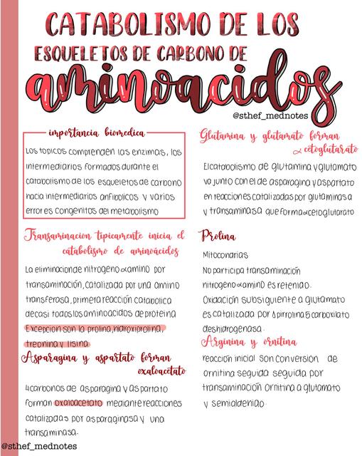 Catabolismo de Los Esq De Carbono De Aminoacidos | Esthefany Pérez Zambrana | uDocz