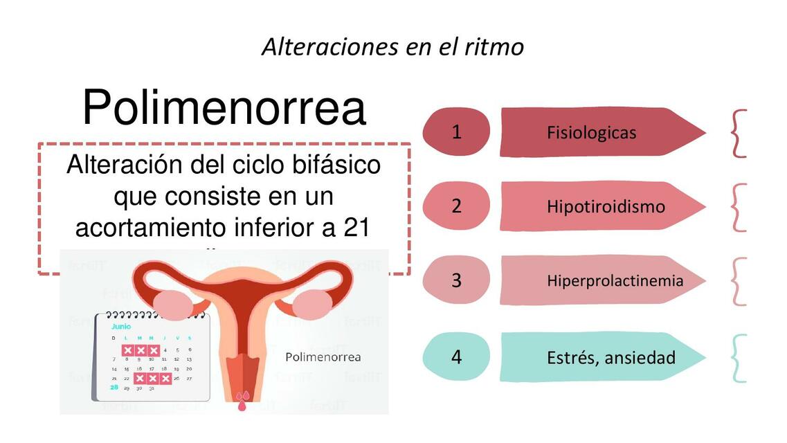 Polimenorrea | Medicina Óptima | uDocz