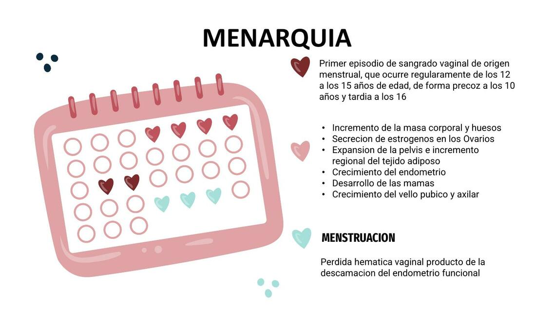 MENARQUIA | Medicina Óptima | uDocz