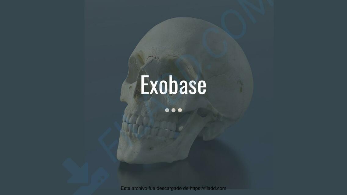 Exobase | Denise Sandoval | uDocz