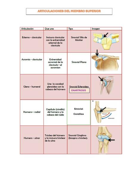 ARTICULACIONES MMSS MMII | Carlos Salazar | uDocz