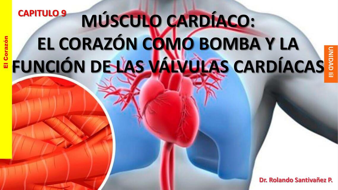 CAPITULO 9 MUSCULO CARDIACO EL CORAZON COMO BOMBA | Liz AG | uDocz