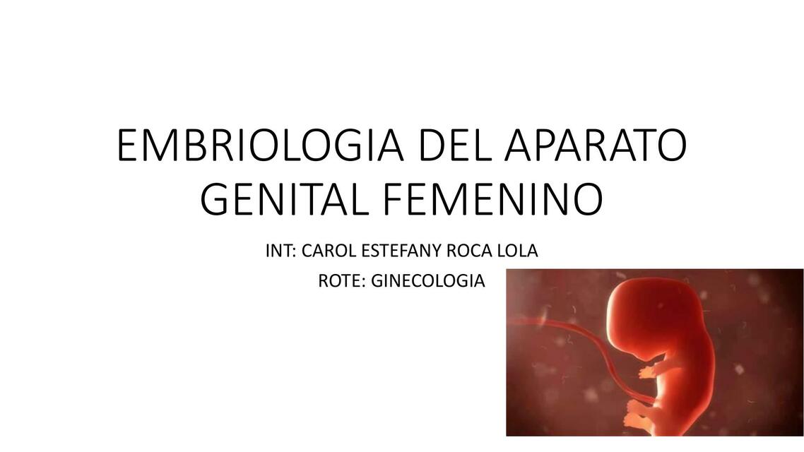 EMBRIOLOGIA DEL APARATO GENITAL FEMENINO | Dayana | uDocz