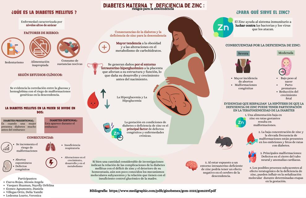 Flashcards de Diabetes materna y deficiencia de zinc | Por Cueva Rojas ...
