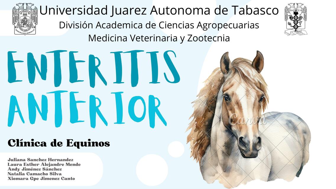 Enteritis Anterior | José Domínguez | uDocz
