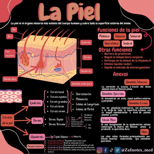 La Piel | Yuleisy Roque Garcia | uDocz
