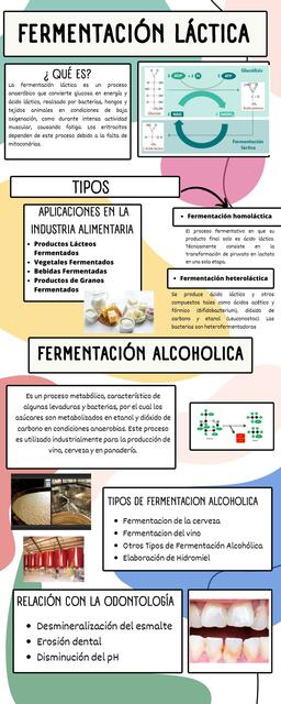 Fermentación Láctica y Alcohólica | Evelyn | uDocz