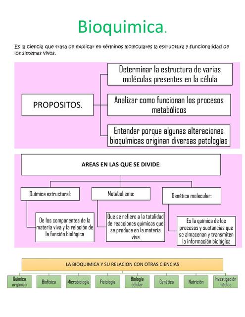 Bioquimica | lrub | uDocz