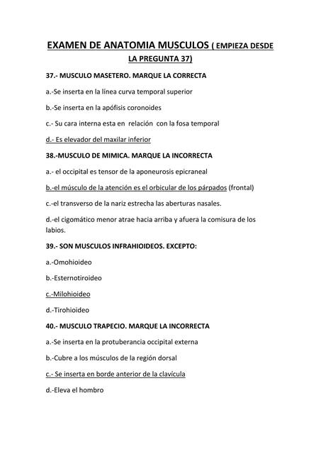 EXAMEN MÚSCULOS ANATOMÍA | Futuro Doctor | uDocz