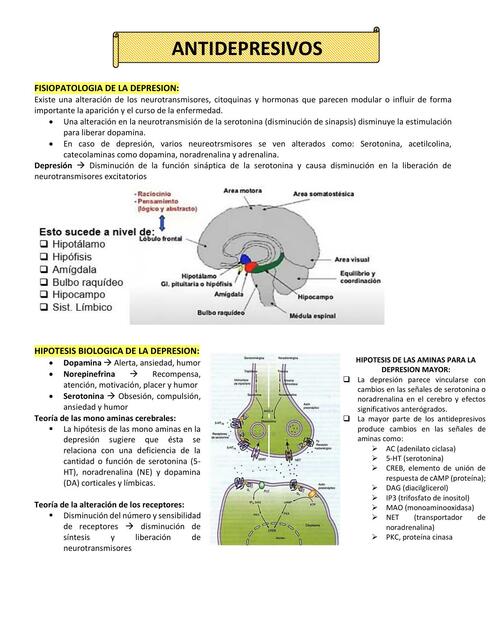 ANTIDEPRESIVOS - FARMACOLOGÍA | Futuro Doctor | uDocz