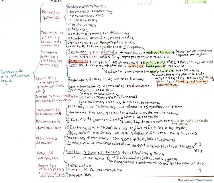 Introducción a la endocrinologia guyton | Luís Fernando López Lara | uDocz