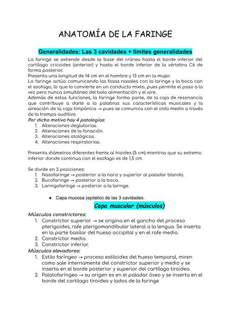 ANATOMIA DE LA FARINGE | Nataly Montoya | uDocz