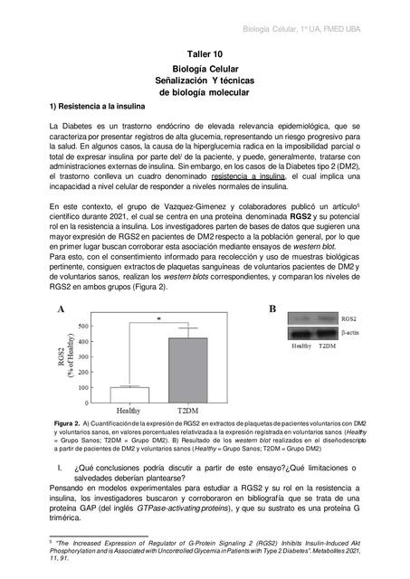 inbound | Sofia | uDocz