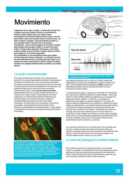 S10 s1 Lectura El movimiento | NAHIM SALAZAR MELENDEZ | uDocz