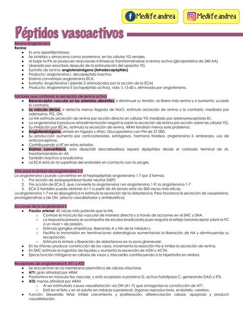 Péptidos vasoactivos | Medlife.andrea | uDocz