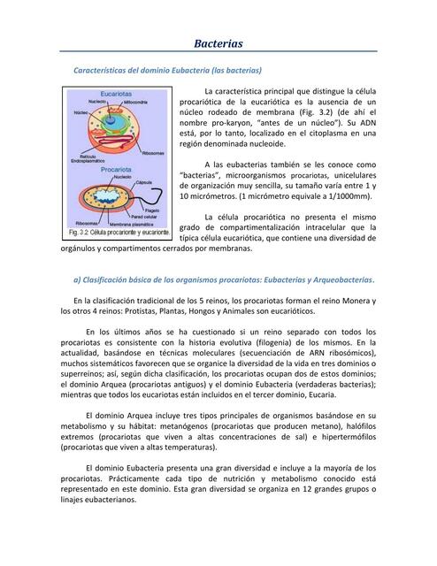 Flashcards de Bacterias 1 | Por Kelly | uDocz