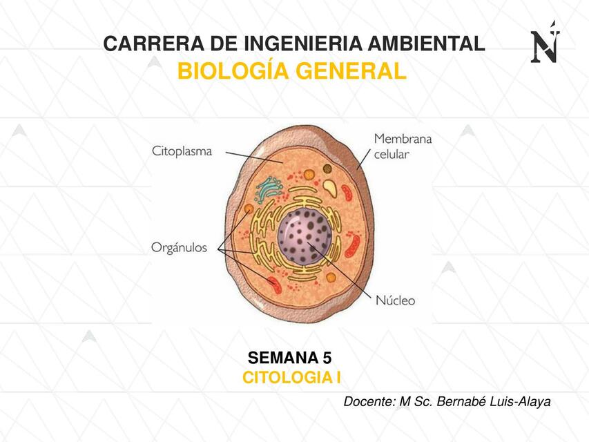 CLASE 5 BIOLOGÍA | Kelly | uDocz