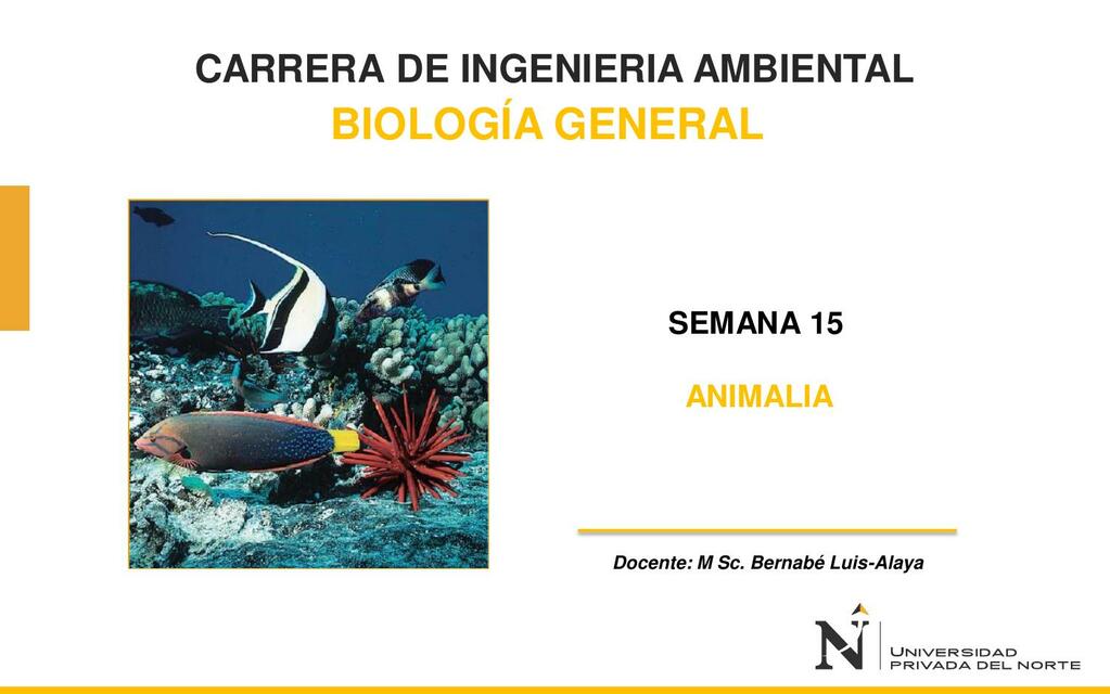CLASE SEMANA 15 BIOLOGIA GENERAL | Kelly | uDocz