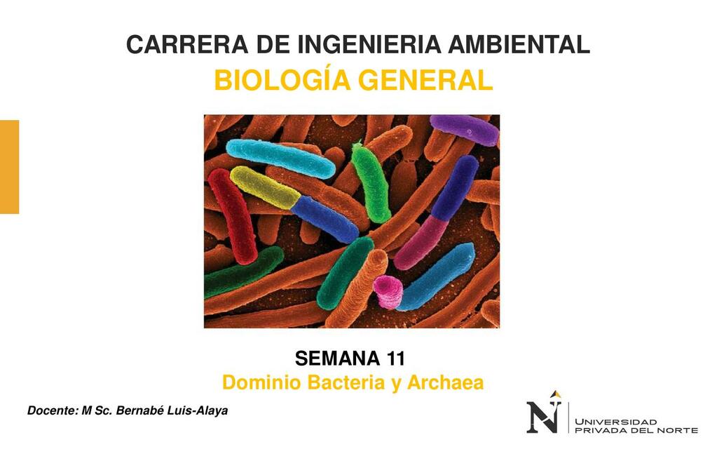 Flashcards de CLASE SEMANA 11 BIOLOGIA GENERAL | Por Kelly | uDocz