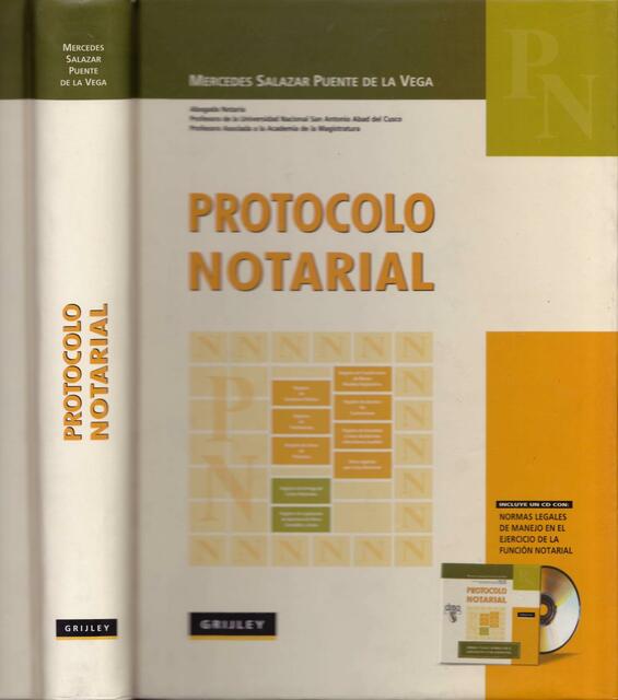 PROTOCOLO NOTARIAL | Patrick David Villanueva Perez | uDocz