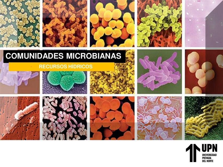 6 COMUNIDADES MICROBIANAS RECURSOS HIDRICOS | Estefano | uDocz