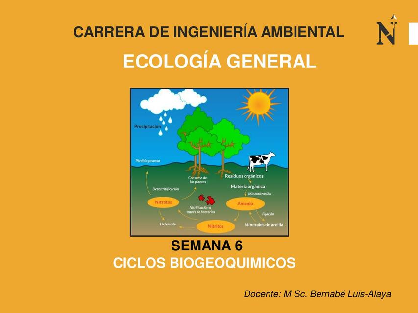 CLASE 6 CICLOS BIOGEOQUIMICOS | Kelly | uDocz