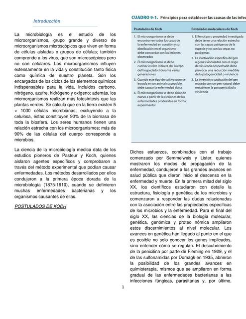 Resumen micro | Belen | uDocz