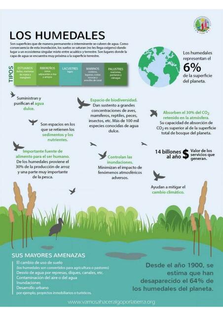 Flashcards De Humedales Por Salome Udocz