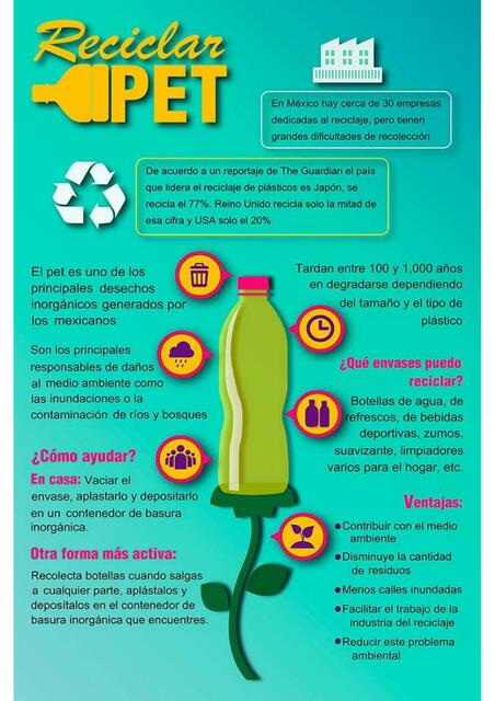 Reciclar Pet Salome Udocz