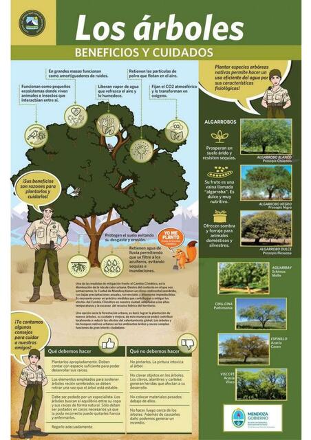 beneficios y cuidados de los árboles | salome | uDocz