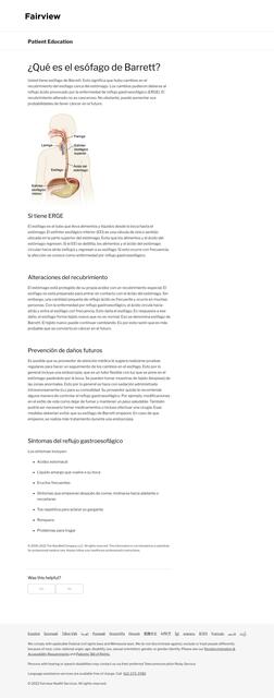 Qué es el esófago de Barrett | Ana Rodríguez | uDocz