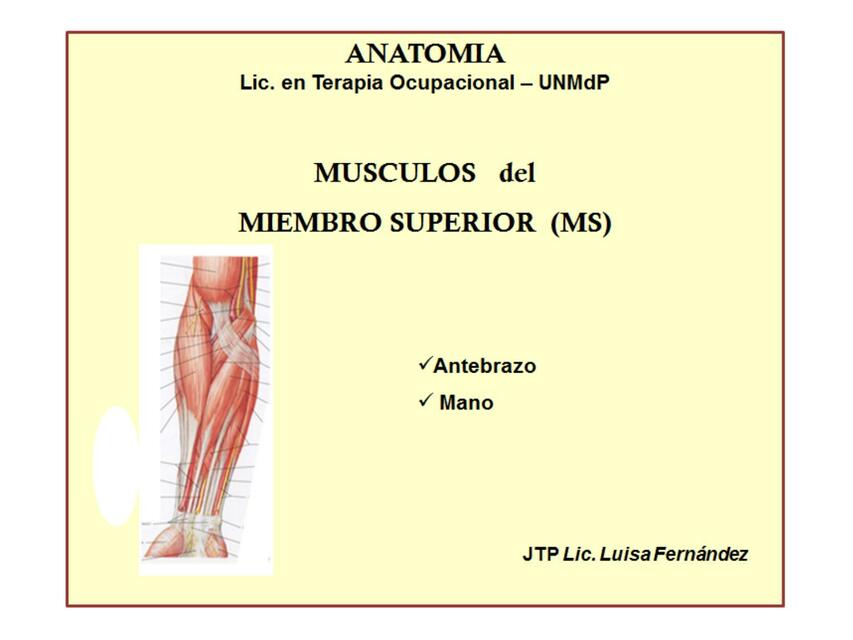inbound | Yanina | uDocz