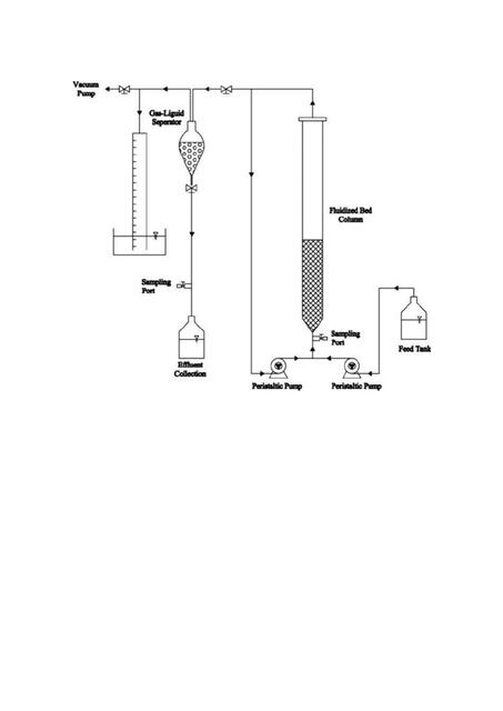 lab | Yosselin | uDocz