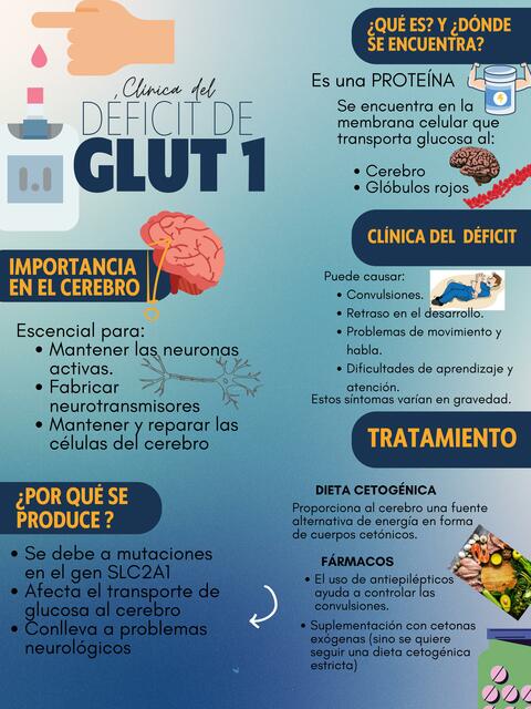 Glut 1 | Lializ | uDocz