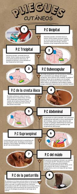 Pliegues cutáneos | Lializ | uDocz