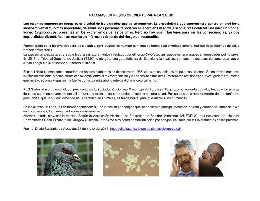 GUÍA MADB S7 | angeli | uDocz