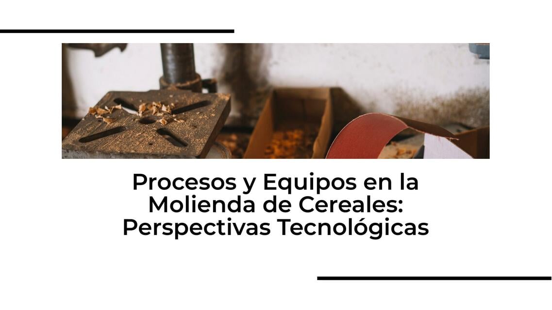 Procesos y equipos en molienda de cereales | Apuntes del agro | uDocz